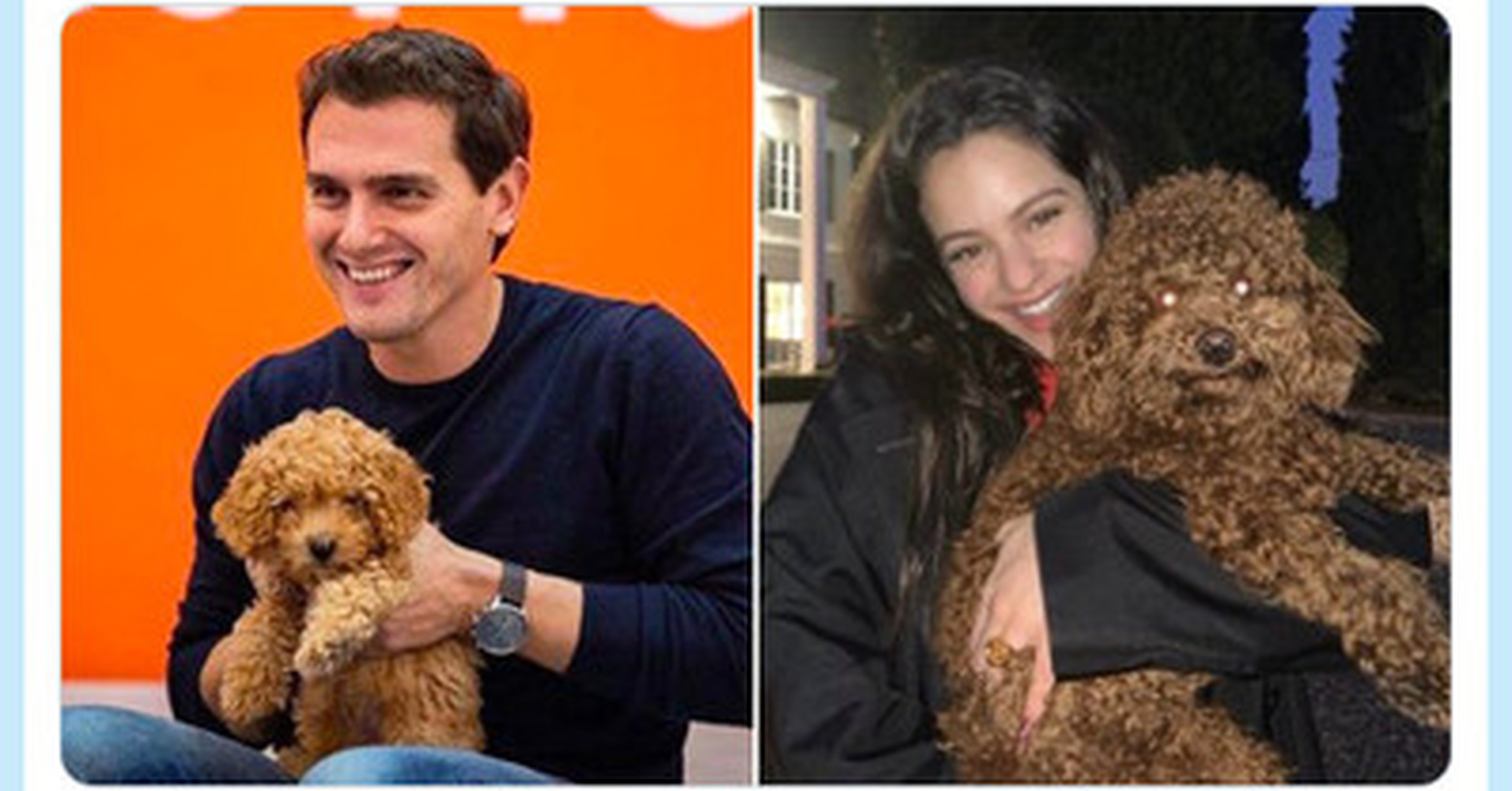 VEF > Visto en las Redes > Un perro muy comilón, por @gabrielizcovich