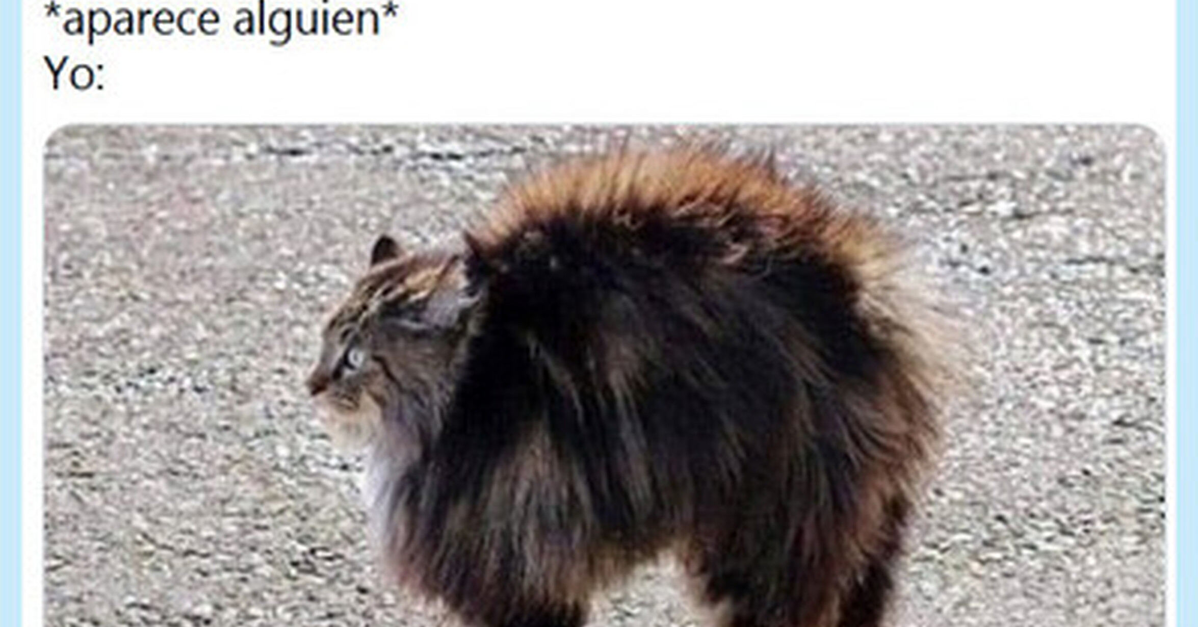 VEF > Visto en las Redes > Ugh, gente por @supermanumolina