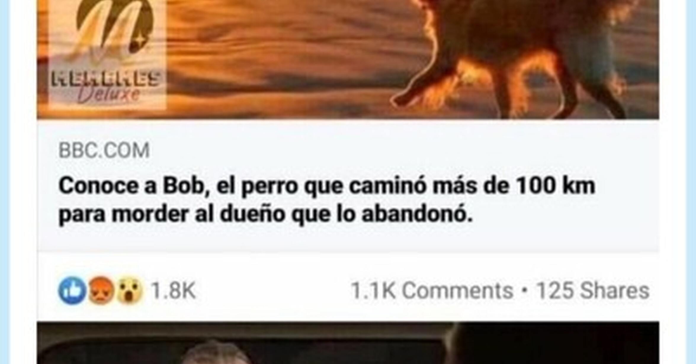 VEF > Visto en las Redes > Bien merecido, por @DiloConPerritos