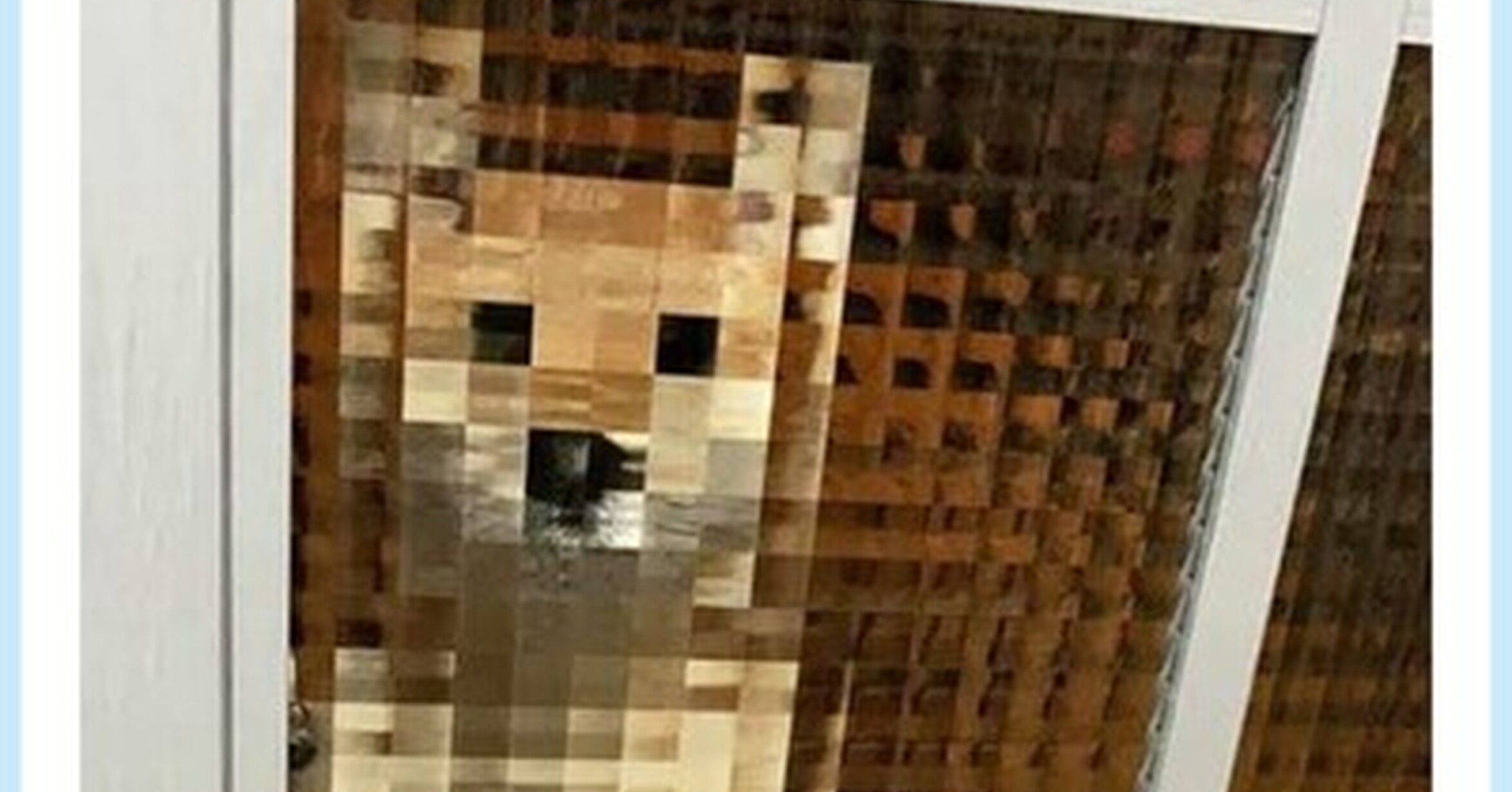 VEF > Visto en las Redes > Perrito Minecraft, por @Gordito_Perrito