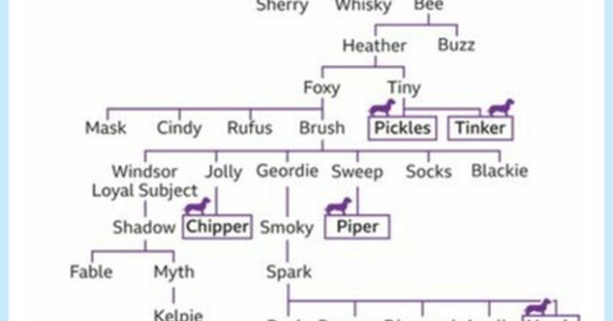 VEF > Visto en las Redes > La familia de corgis más rica del mundo, por ...