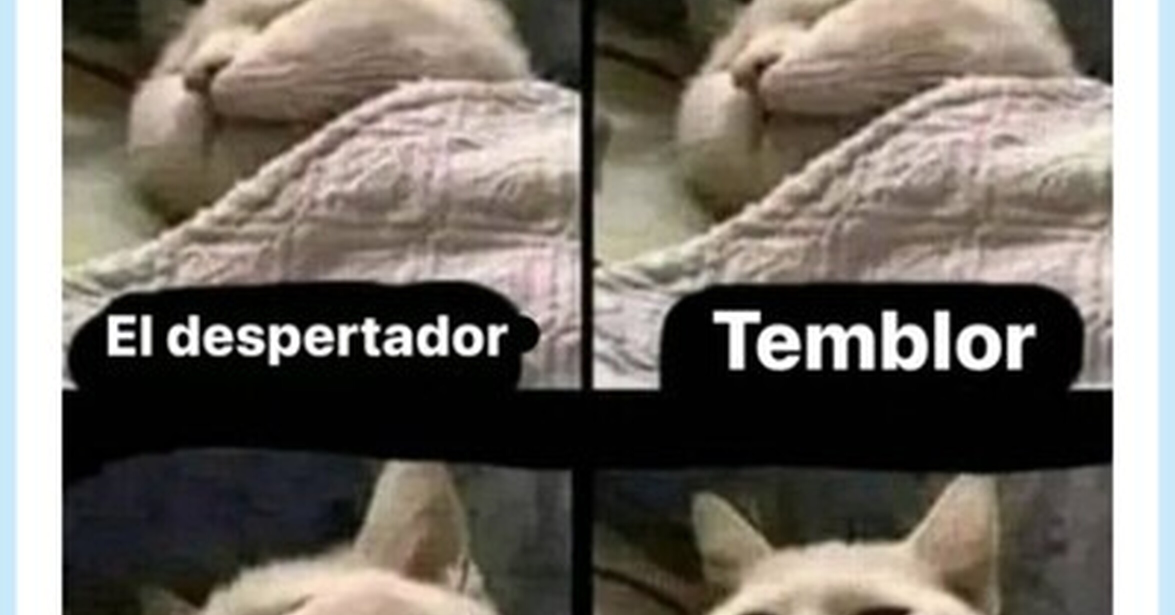 VEF > Visto en las Redes > Eso sí que es tremendo, por @Guarromantico_