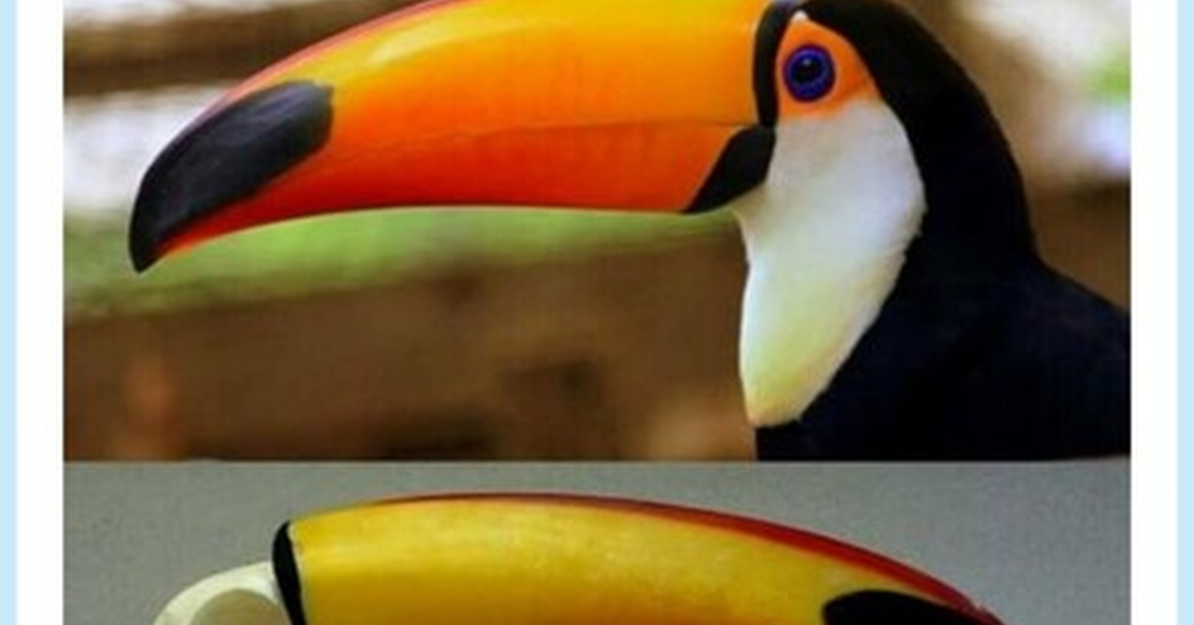 VEF > Visto en las Redes > Esto me acaba de dar muy mal rollo, por ...