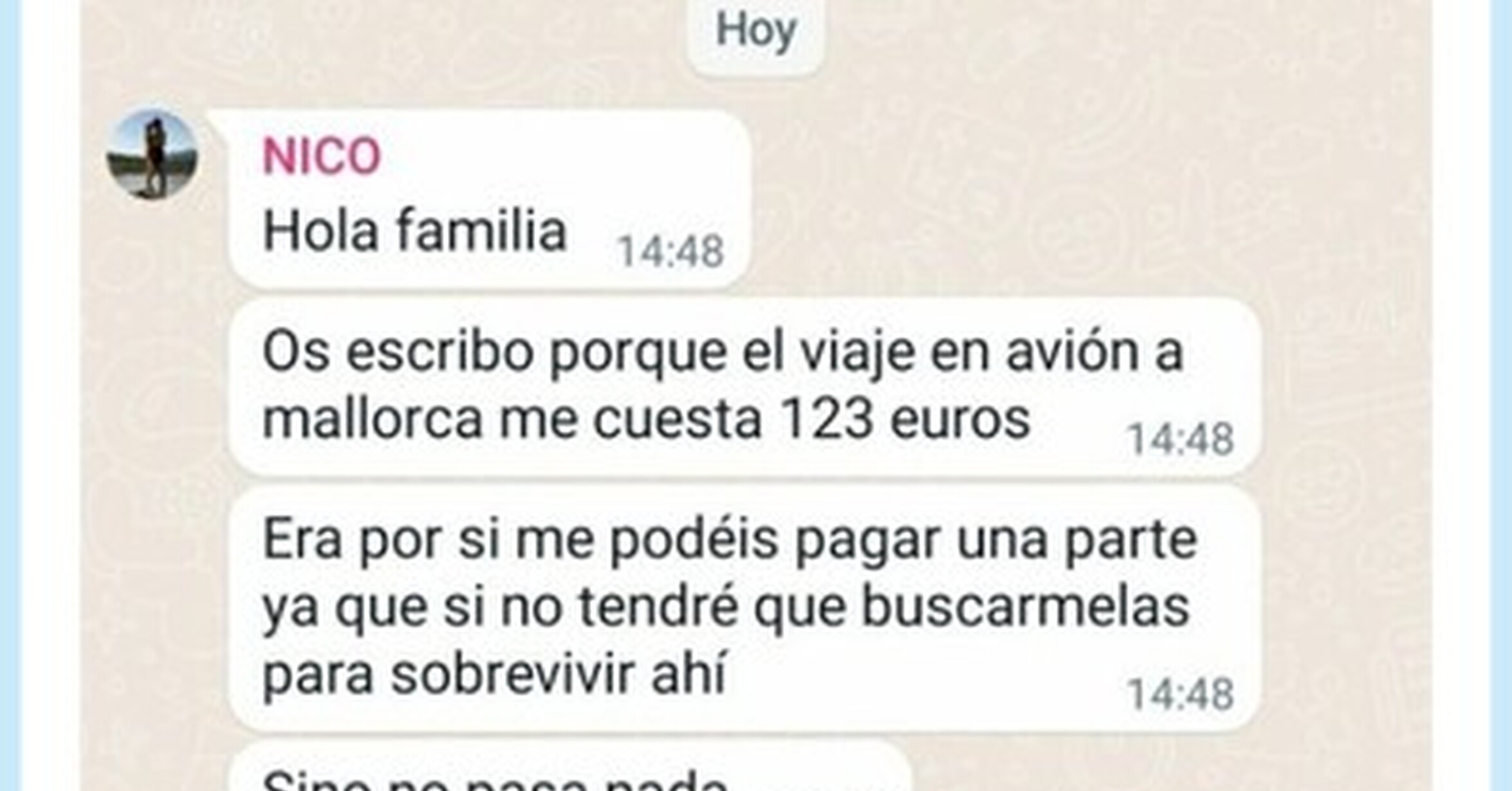 VEF > Visto en las Redes > Las ensaimadas viven en un entorno hostil, y siempre están al acecho ...