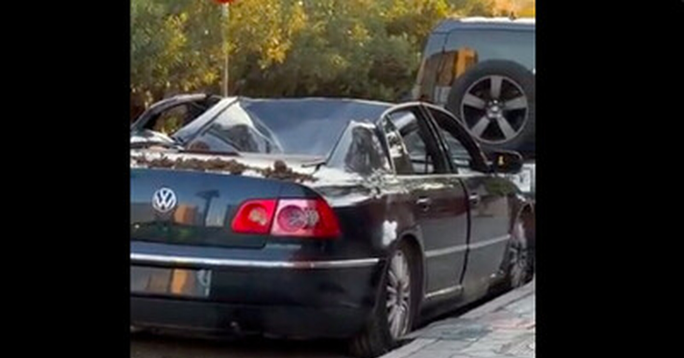 VEF > Visto en las Redes > "Un elefante" destroza un coche en el centro ...