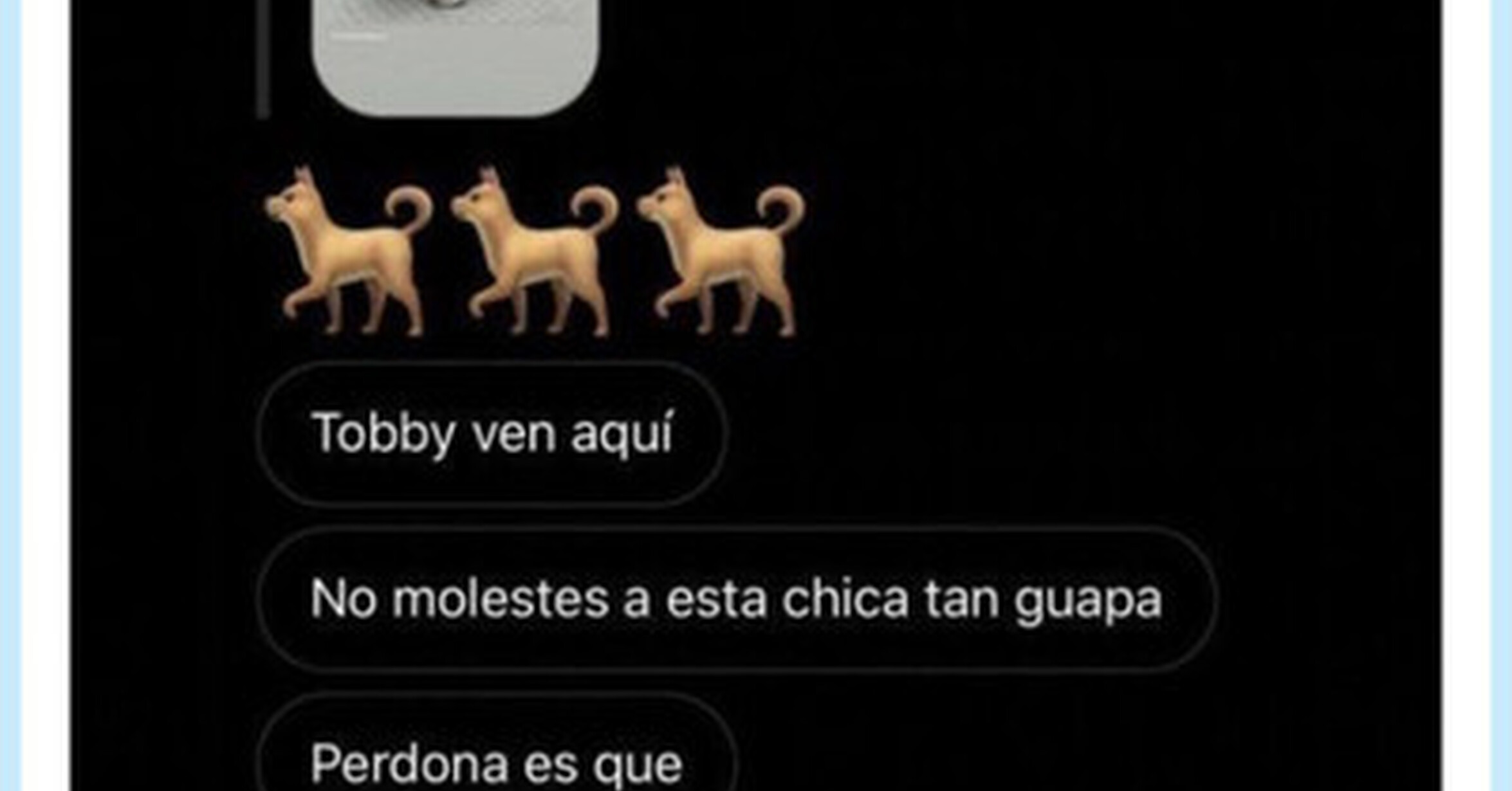 VEF > Visto en las Redes > Tobby no estaría orgulloso de su dueño, por ...