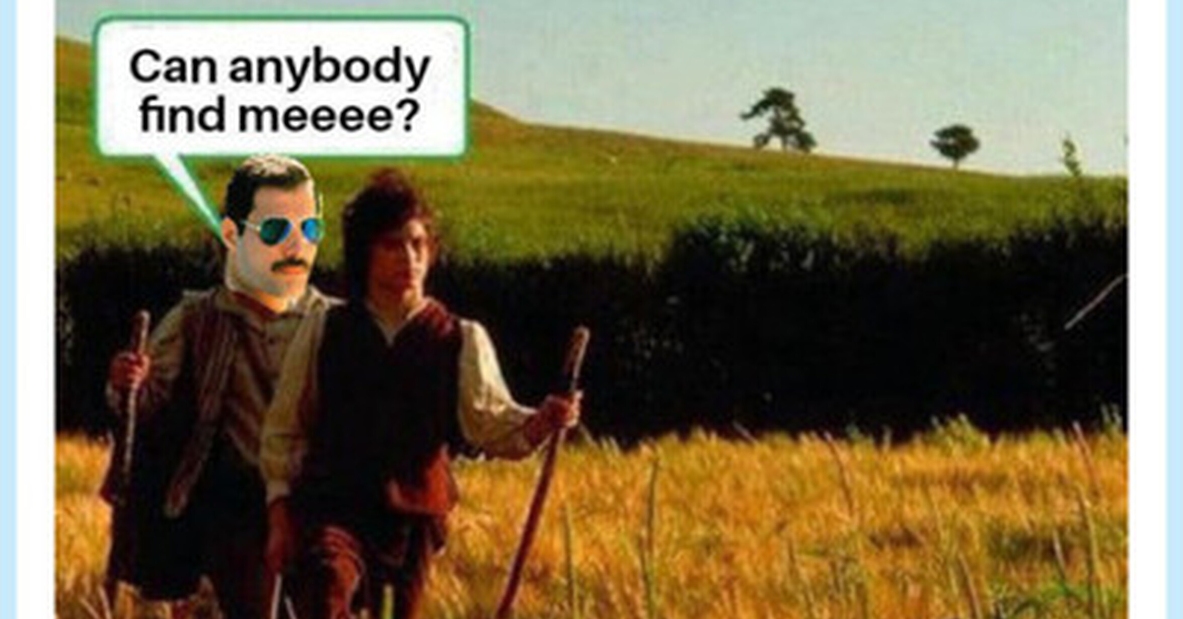 VEF > Visto en las Redes > Can anybody find meeeeeee, por @perritocolega