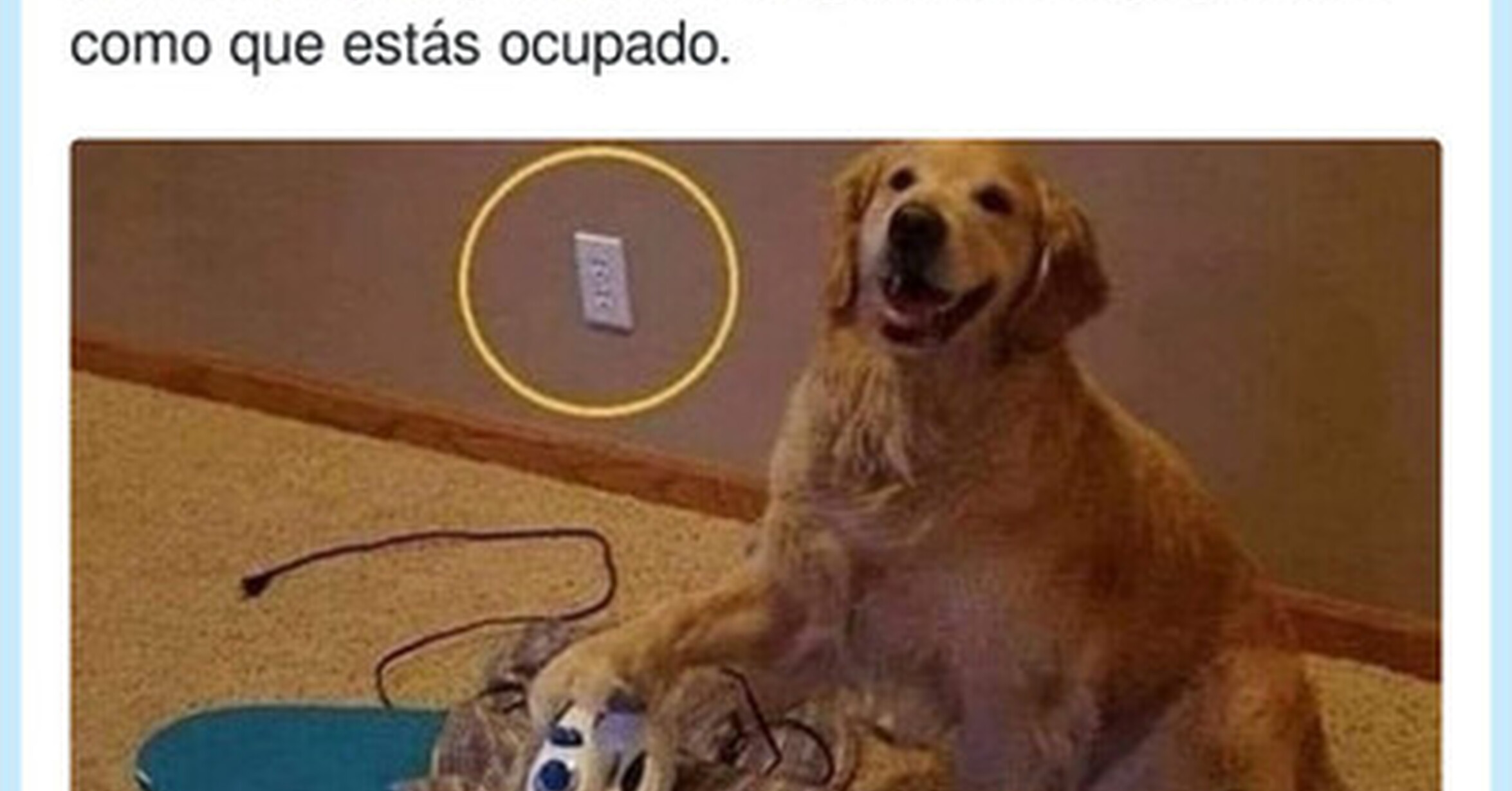 VEF > Visto en las Redes > Todo controlado, jefe, por @soycamarero