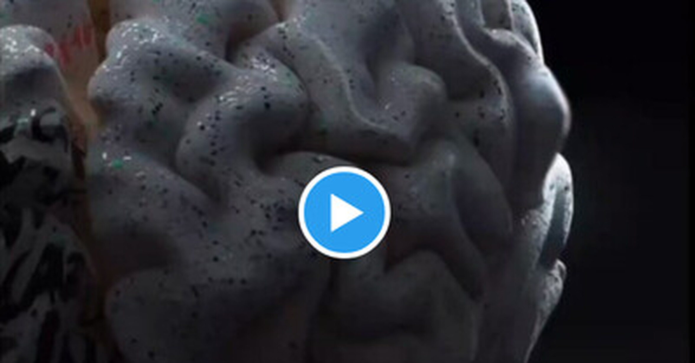 VEF > Visto en las Redes > Estos bultos me acaban de dar muy mal rollo