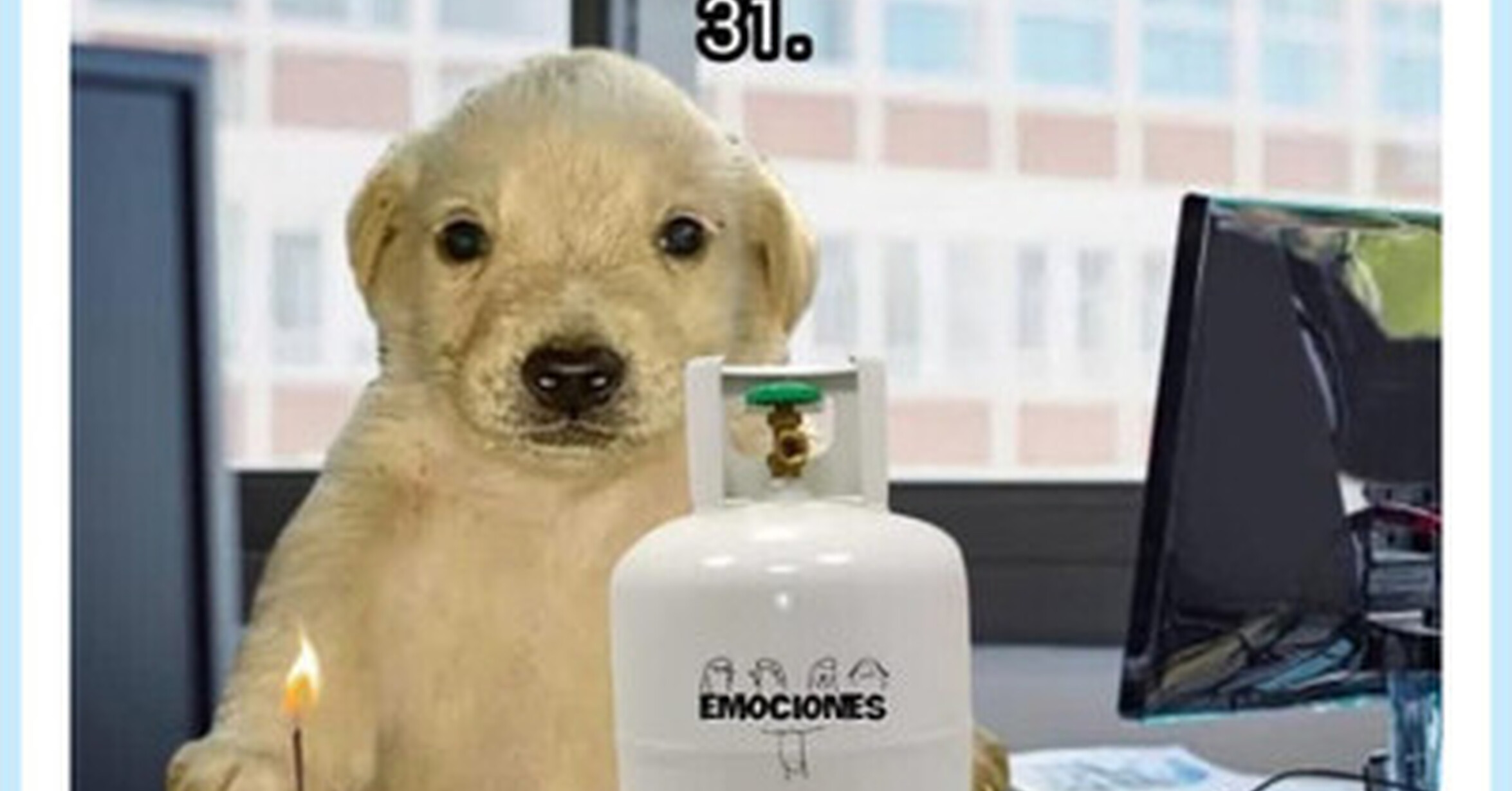 VEF > Visto en las Redes > Ojo que estoy muy loco, por @nacional_memes