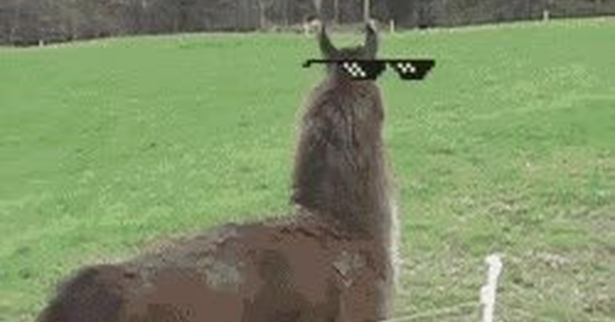 GIF: Al matarme el primer Deathclaw en Fallout