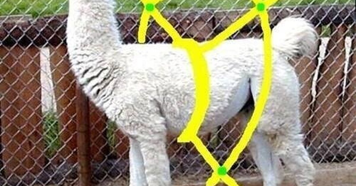 Los envidiosos dirán que es Paint, pero qué va...