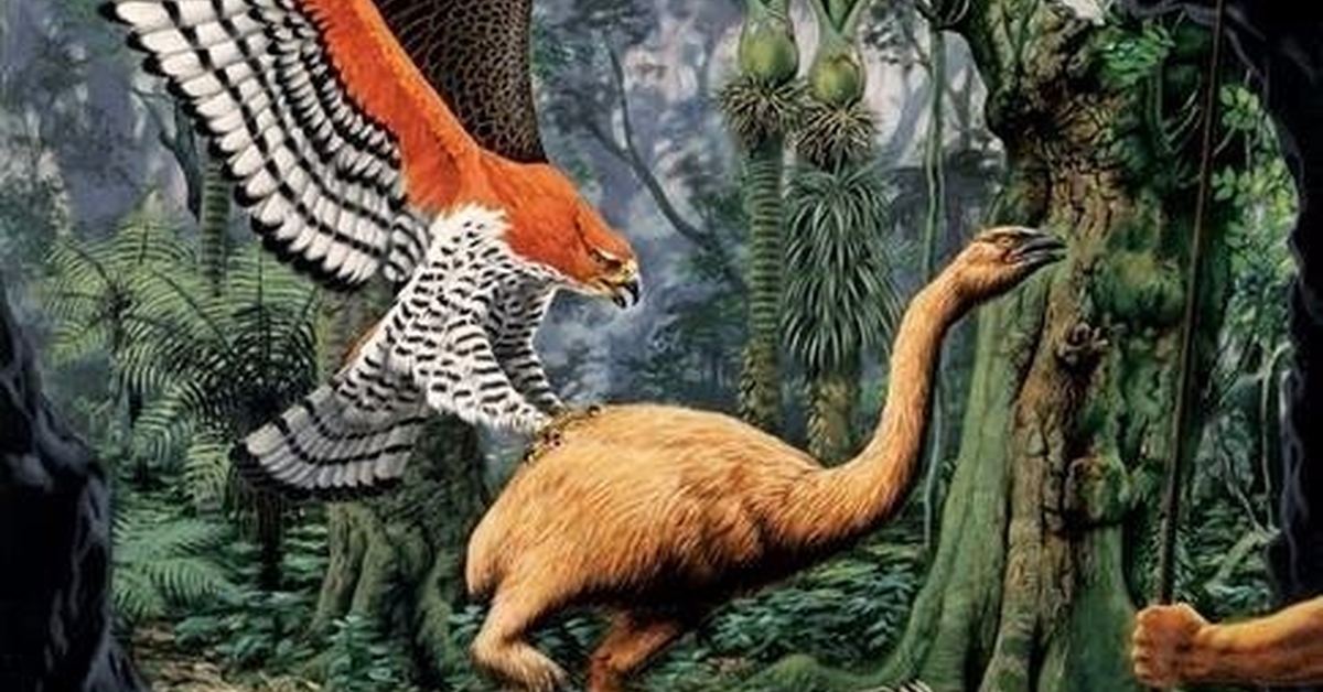 Talonflame Prehistórico haciendo Brave Bird a un Doduo sin una cabeza.