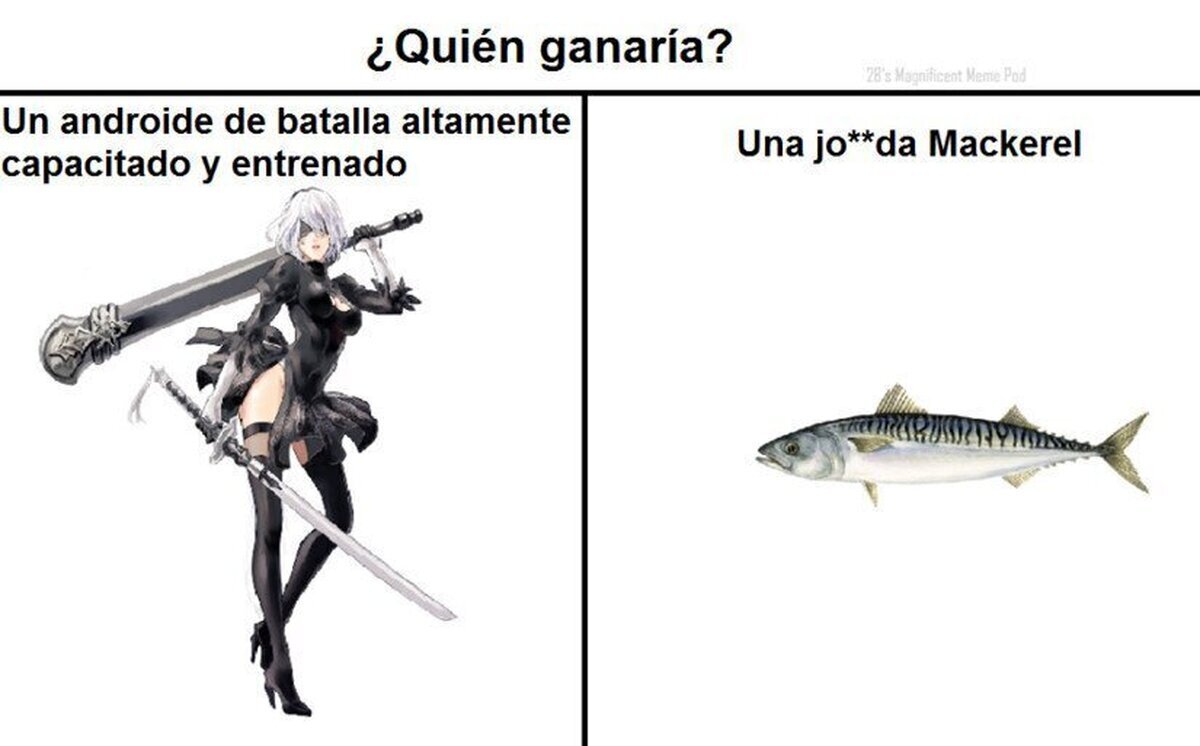 Top 1 memes de mackerel
