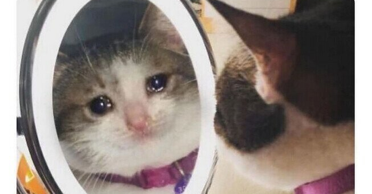 ¿En qué me he convertido?