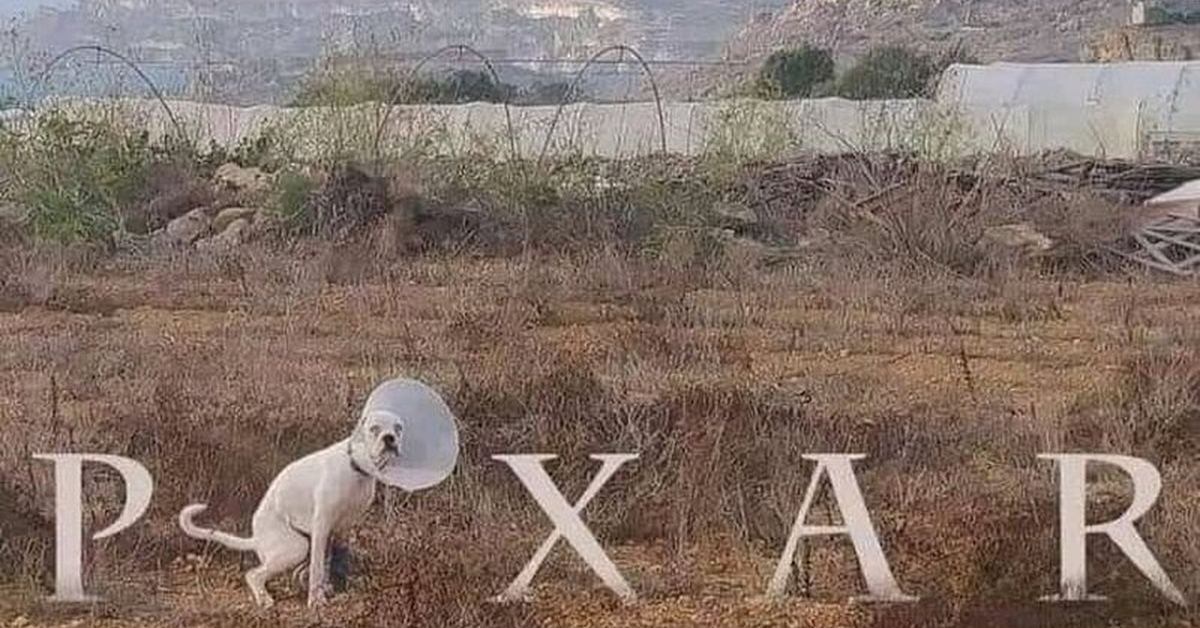 El Nuevo Logo de #Disney, ¿sabías que "pixar" en catalán significa "mear"?