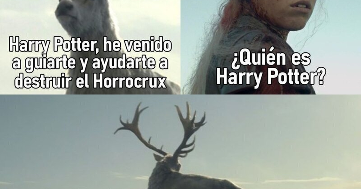 ¿Quién es Harry Potter?