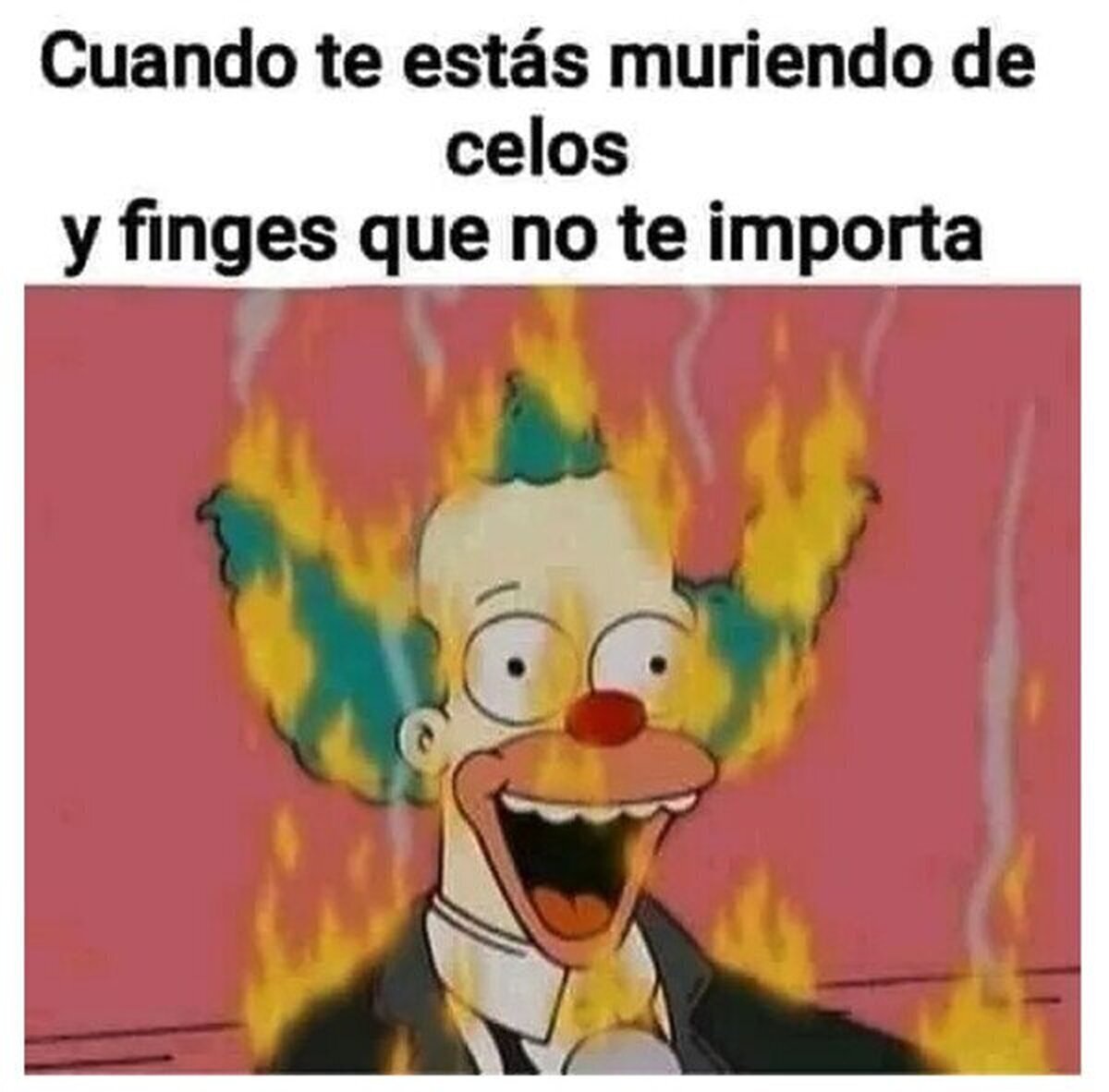 Top 13 memes de krusty