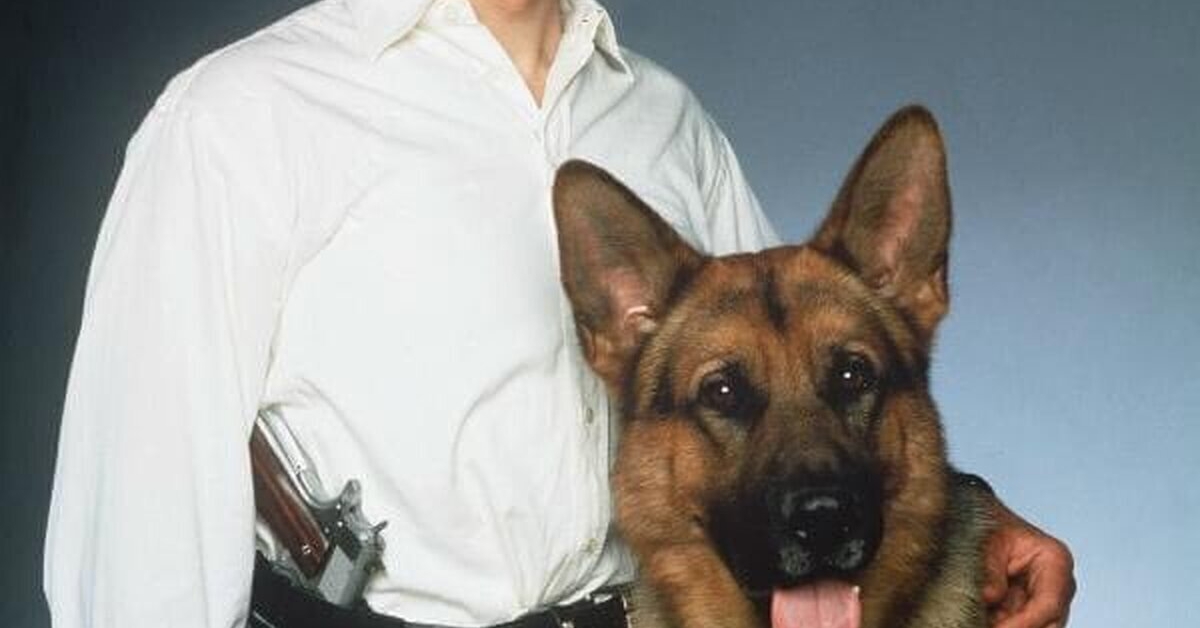 El mejor agente de la policía jamás visto y al lado, su humano ♥️ ...