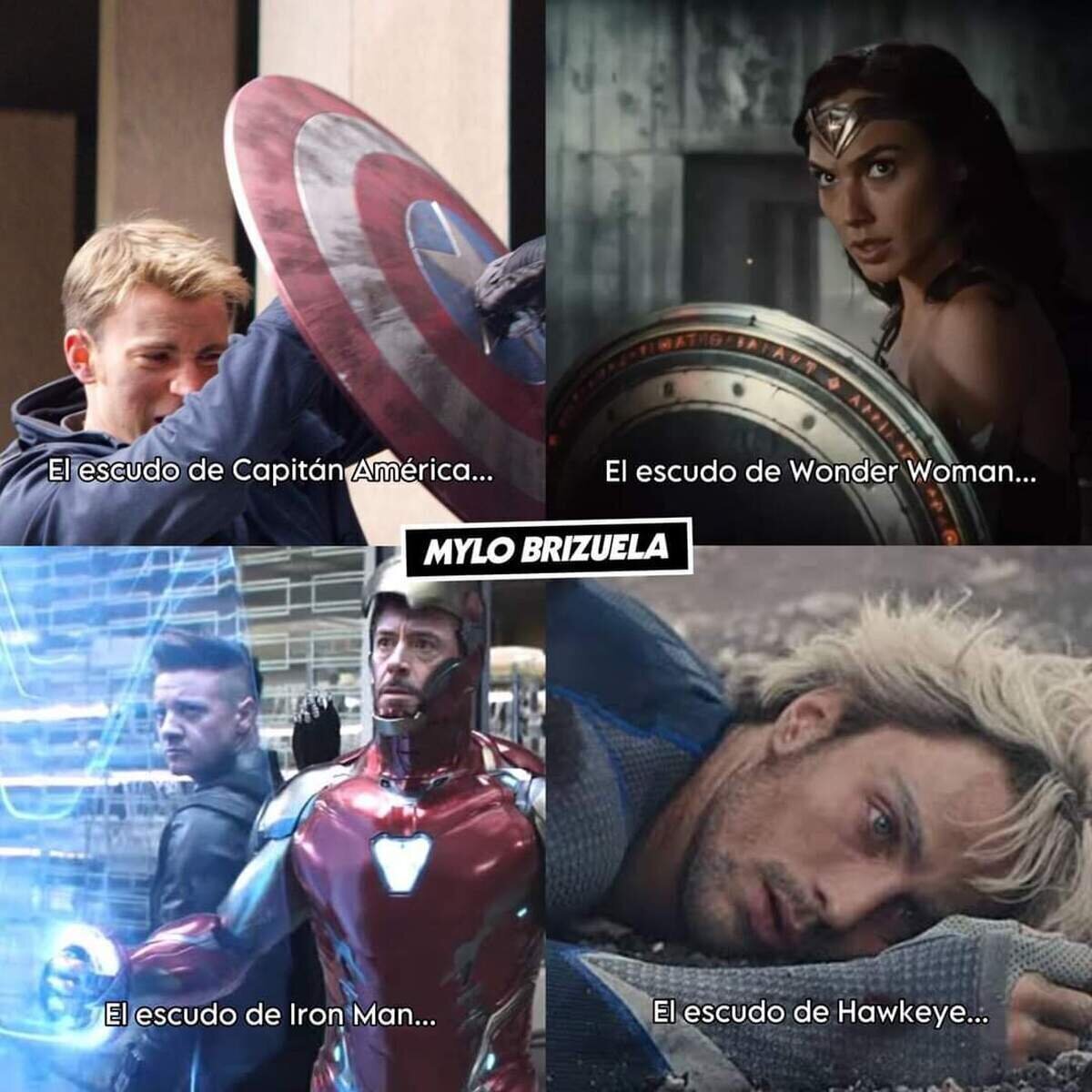 Top 357 memes de Escudo De Madera