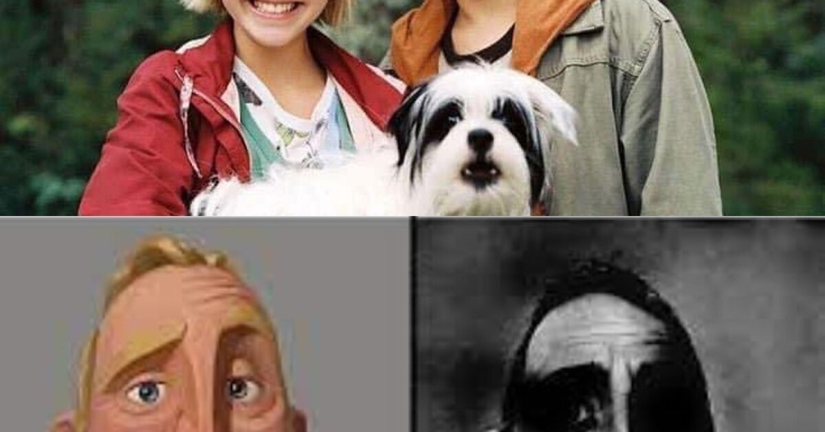 Los que no saben / Los que saben