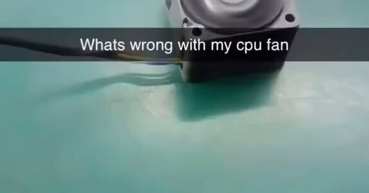 Top 16 memes de cooler