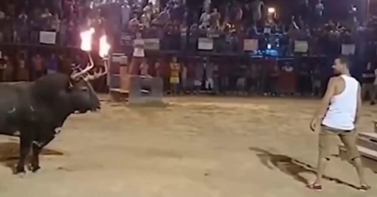 Top 120 memes de castillo