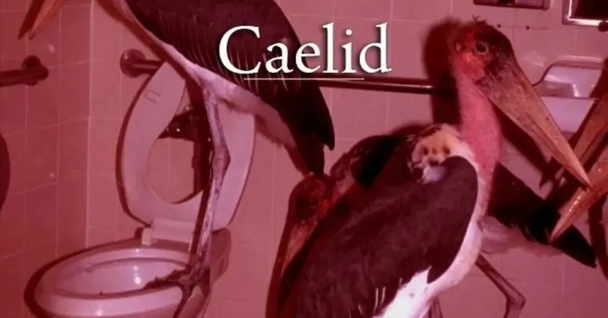 ¿Por qué todo en Caelid es gigante?