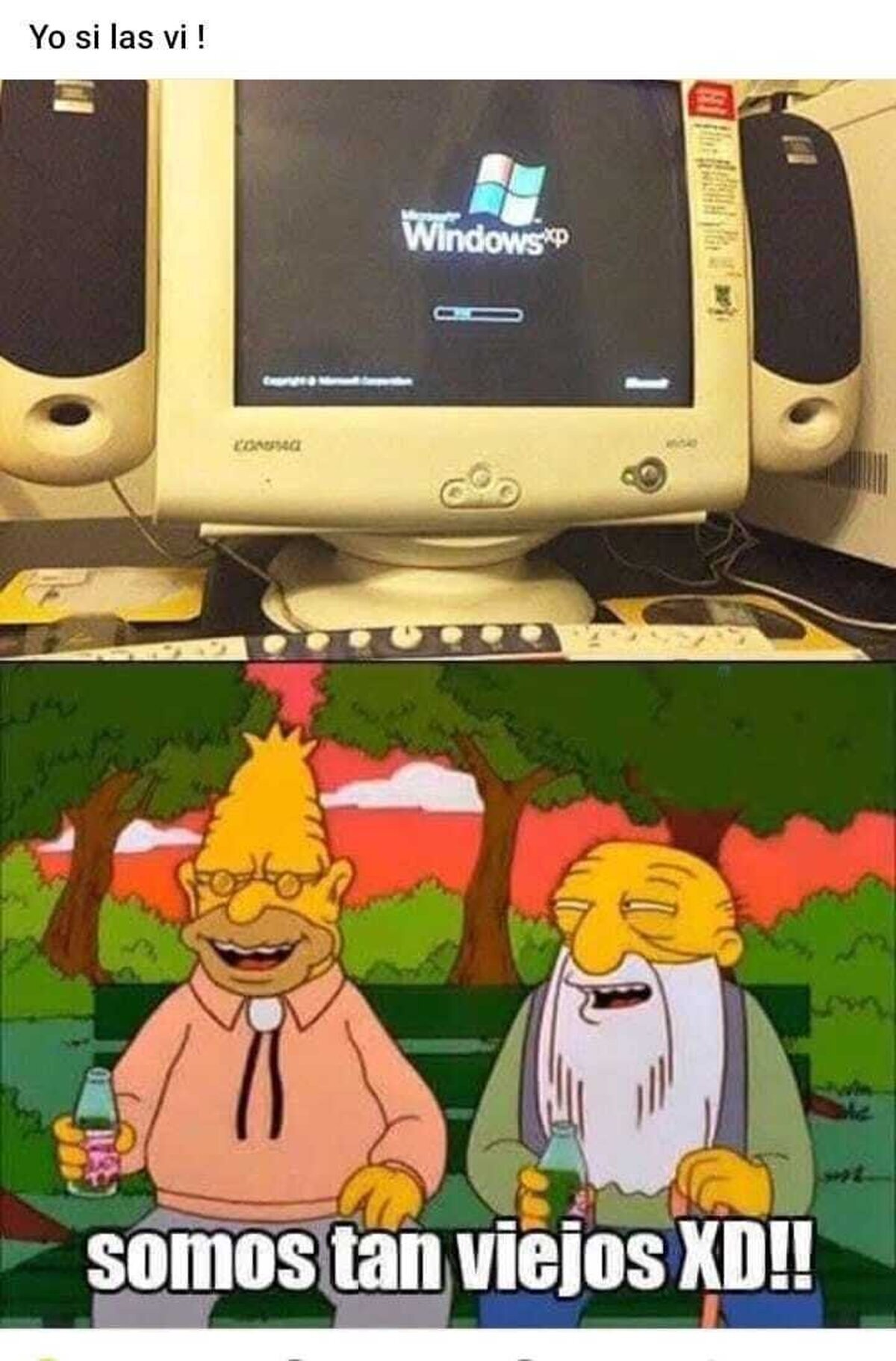 Top 137 memes de Windows