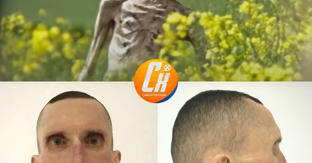 No era Cillian Murphy, era Angus Neill. Un modelo y artista