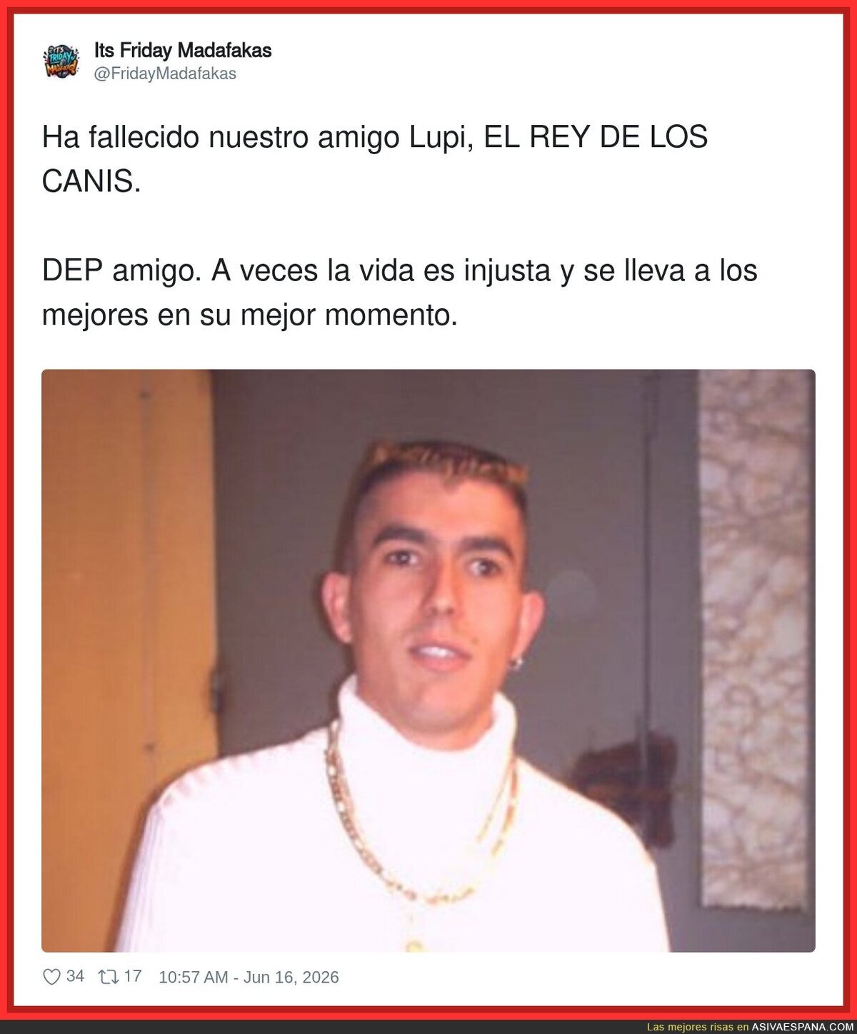 Top 1 memes de lupi