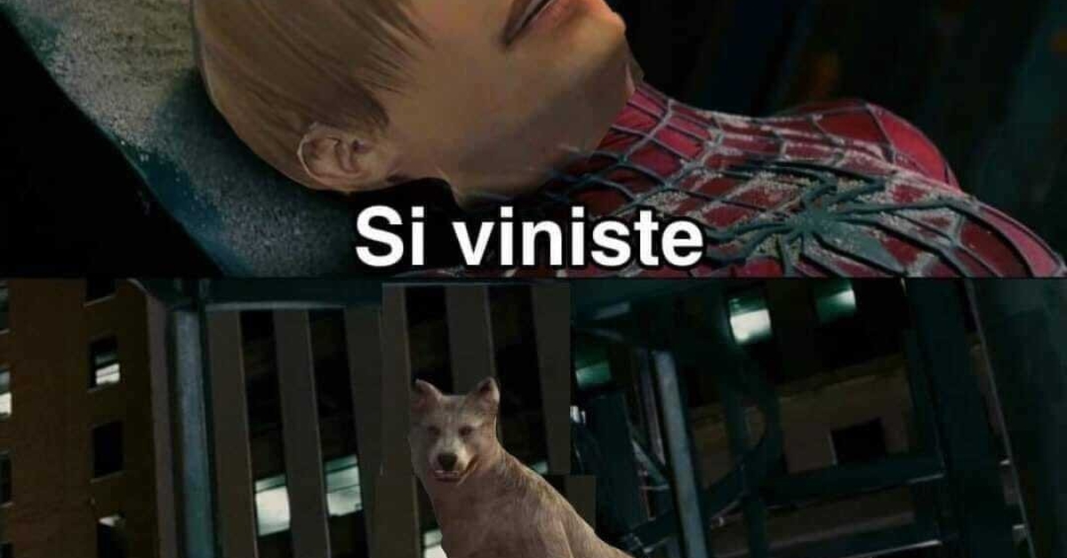 Que perro más fiel