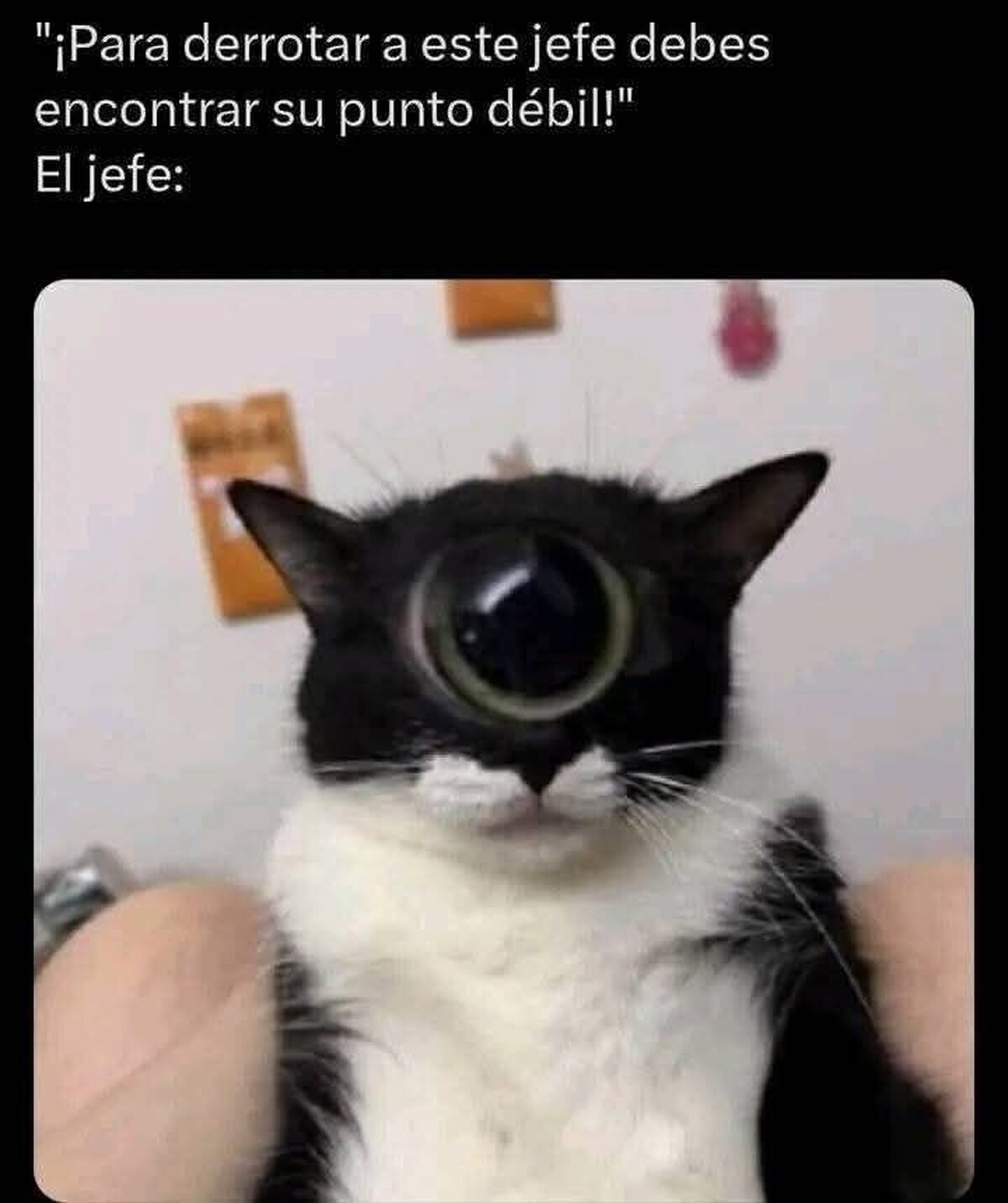 Top 289 memes de ojo