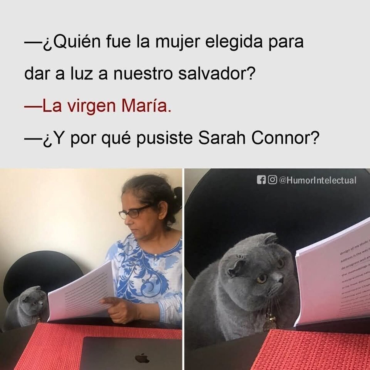 Top 64 memes de connor