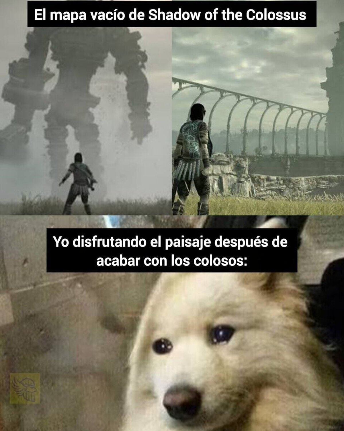 Top 112 memes de Cargador Vacio